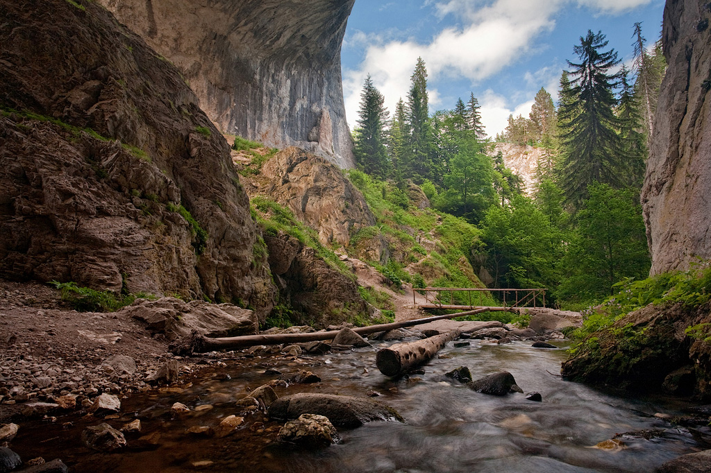 Cuisine of the Rhodope Mountains | Restaurant Leonardo Bansko